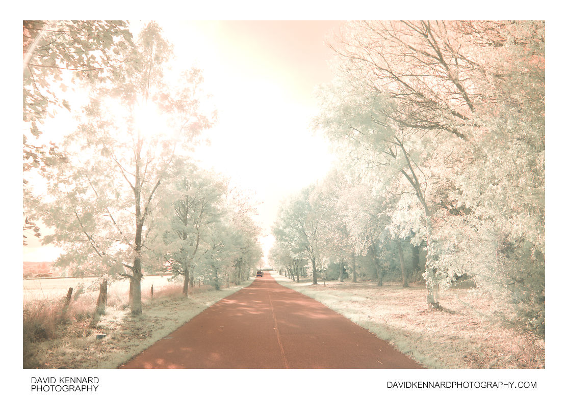 [IR] Gartree Prison road · David Kennard Photography